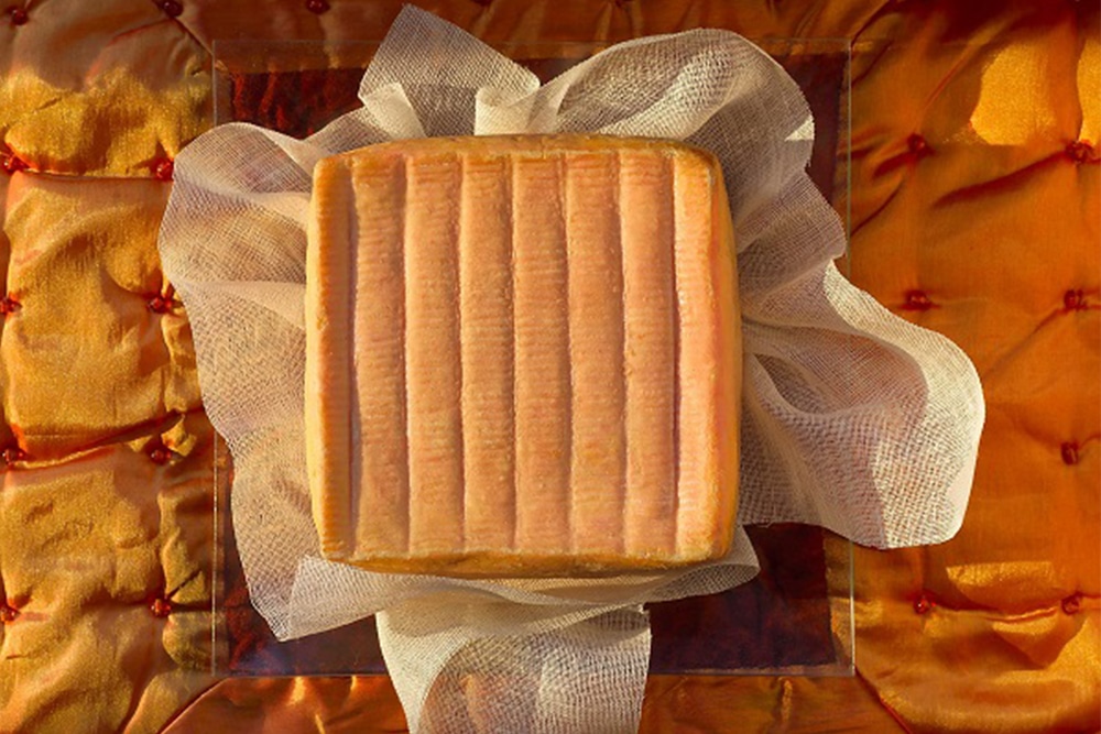 Le Maroilles AOP est élu fromage préféré des Français ! - Goûtez la qualité
